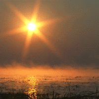 Documentary GIFs - Get the best gif on GIFER