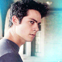 Advanced GIFs - Get the best gif on GIFER