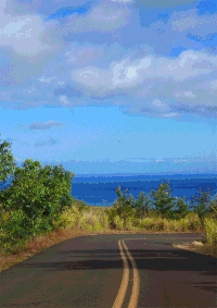 Passado GIF - Conseguir o melhor gif em GIFER