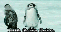 Penquin GIFs - Get the best gif on GIFER