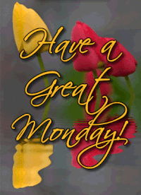 Monday GIFs - Get the best gif on GIFER