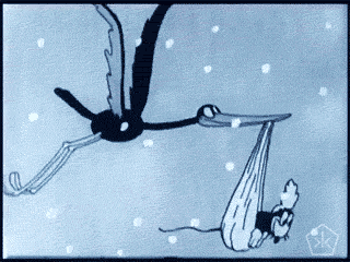 Stork GIFs - Get the best gif on GIFER