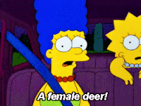 Doh GIFs - Get the best gif on GIFER