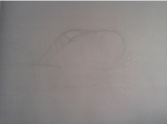 Beechcraft GIFs - Get the best gif on GIFER