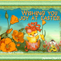 Rotfl GIFs - Get the best gif on GIFER