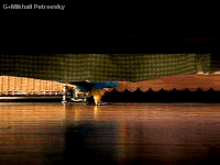 Slippers GIFs - Get the best gif on GIFER