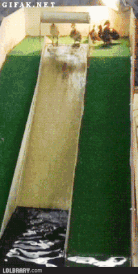 Ducklings GIFs - Get the best gif on GIFER