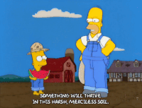 Farmer GIFs - Get the best gif on GIFER