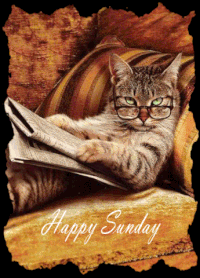 Sundays GIFs - Get the best gif on GIFER