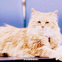 Bitter GIFs - Get the best gif on GIFER