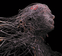 Redhawk GIFs - Get the best gif on GIFER