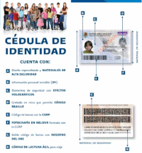 Personal GIFs - Get the best gif on GIFER