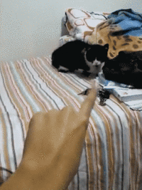 Barrel GIFs - Get the best gif on GIFER