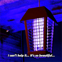 Flik GIFs - Get the best gif on GIFER