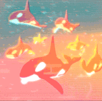 Orca GIFs - Get the best gif on GIFER