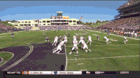 Longhorn GIFs - Get the best gif on GIFER