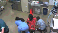 Veterinary GIFs - Get the best gif on GIFER