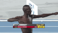 Sieger GIFs - Get the best gif on GIFER