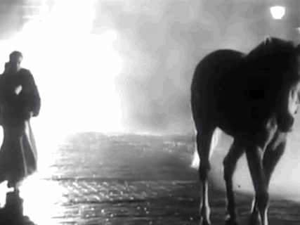 Ultravox GIF - Conseguir o melhor gif em GIFER