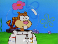 Sb 129 GIFs - Get the best gif on GIFER