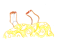 Toes GIFs - Get the best gif on GIFER