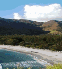 Philippine GIFs - Get the best gif on GIFER