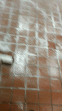Floor GIFs - Get the best gif on GIFER