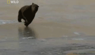 Errr GIFs - Get the best gif on GIFER