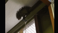 Unemployed GIFs - Get the best gif on GIFER
