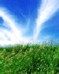 Grass GIFs - Get the best gif on GIFER