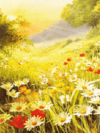 Sunlights GIFs - Get the best gif on GIFER