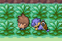 Simmer down GIFs - Get the best gif on GIFER