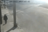 Liveleak GIFs - Get the best gif on GIFER