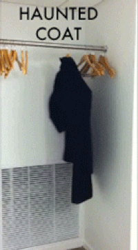 Coat GIFs - Get the best gif on GIFER