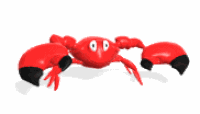 Lobster GIFs - Get the best gif on GIFER