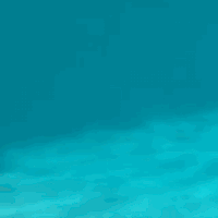 Swimming pool scene GIFs - Get the best gif on GIFER