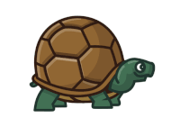 Turtle GIFs - Get the best gif on GIFER