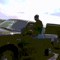 License GIFs - Get the best gif on GIFER