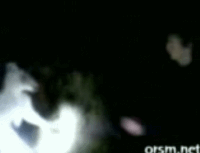 Coli GIFs - Get the best gif on GIFER