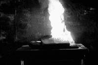 Nin GIFs - Get the best gif on GIFER