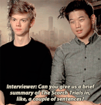 Summary GIFs - Get the best gif on GIFER