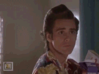 Inspection GIFs - Get the best gif on GIFER