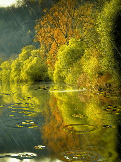 Peaceful GIFs - Get the best gif on GIFER