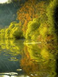 Peaceful GIFs - Get the best gif on GIFER