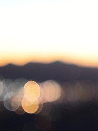 Bokeh GIFs - Get the best gif on GIFER