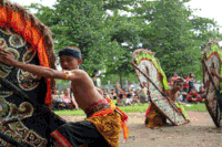 Tradicional GIF - Conseguir o melhor gif em GIFER