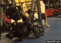 Sauter GIFs - Get the best gif on GIFER