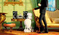 Pets GIFs - Get the best gif on GIFER