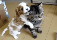 Patient GIFs - Get the best gif on GIFER