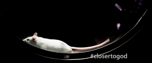 Sciencelab GIFs - Get the best gif on GIFER